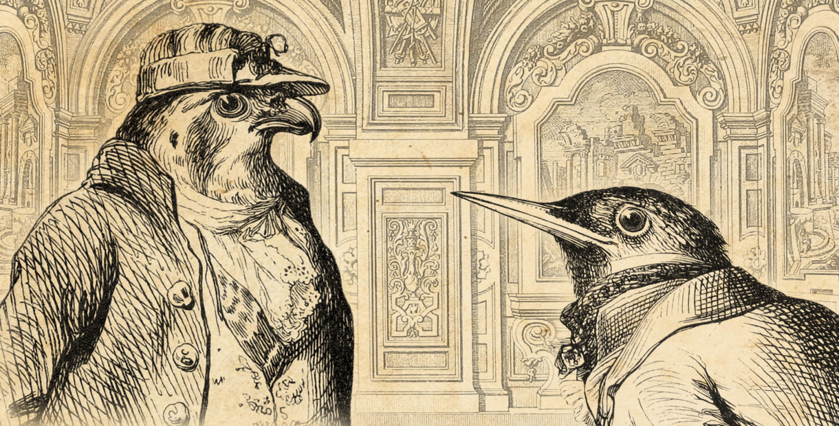 Aviary Attorney